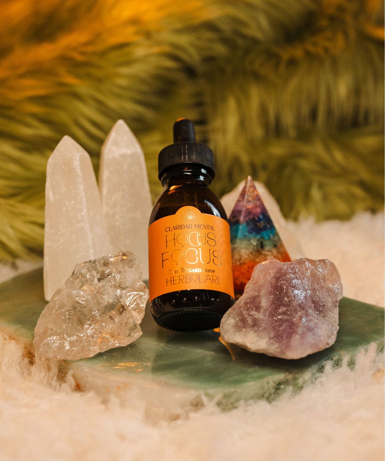 HOCUS FOCUS - TINTURA – The Wizard Shop MX